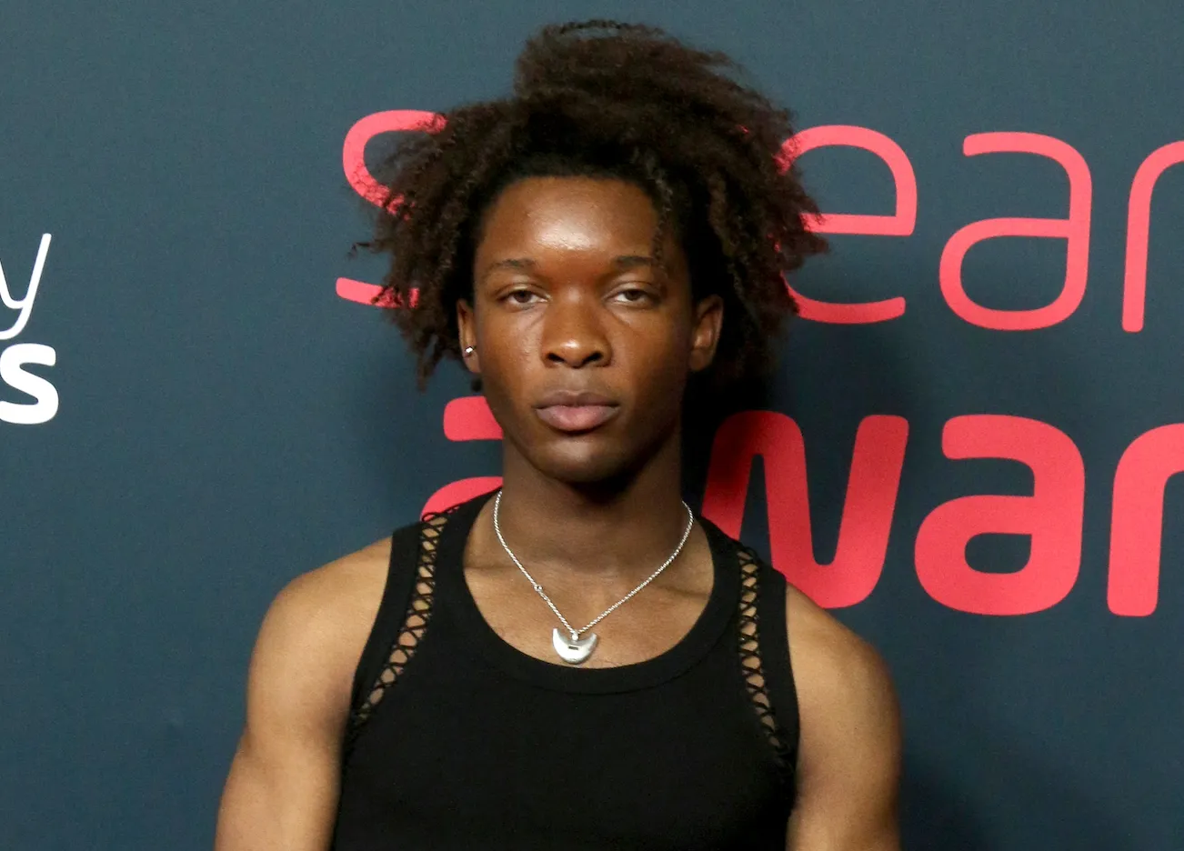 In stukken gehakt lichaam gevonden in Tesla van Amerikaanse zanger ...