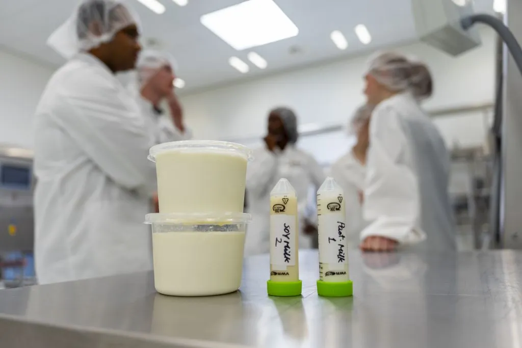 Studenten Hogeschool Van Hall Larenstein maken hybride yoghurt van ...