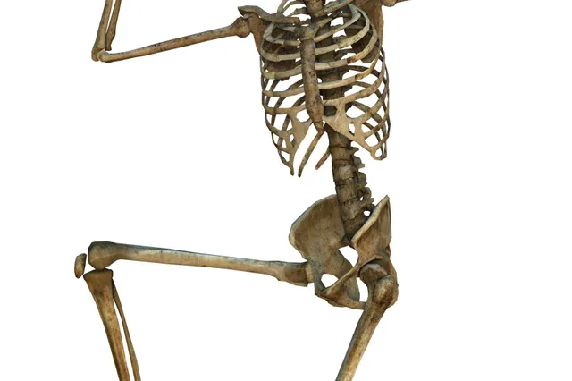 Wat kun je doen tegen broze botten?