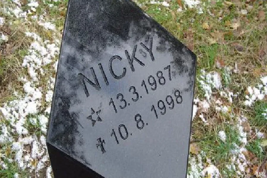 Uitspraak in de zaak Nicky Verstappen: zestien jaar cel voor Jos Brech