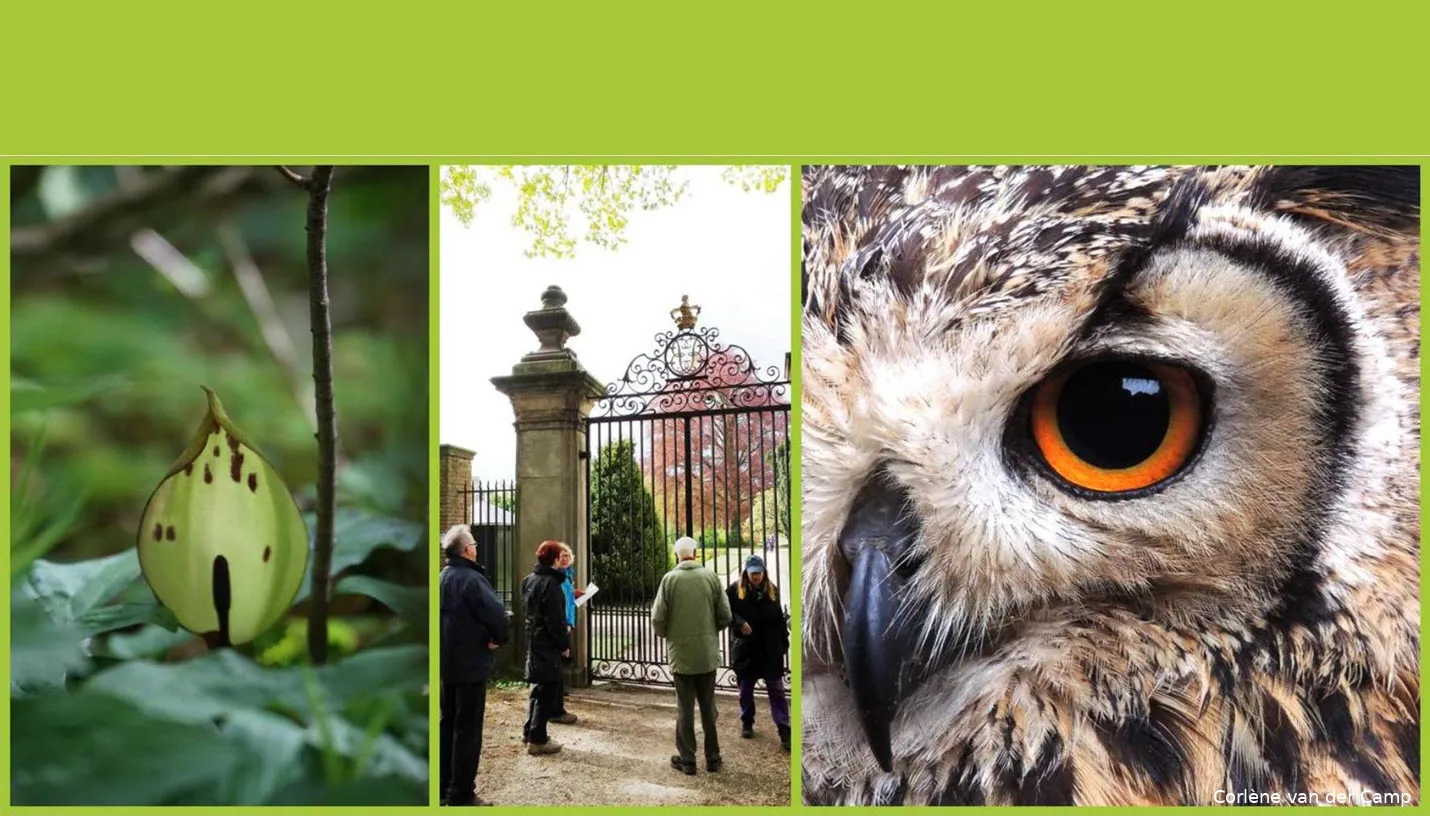 Wandeling op Middachten met als motto: Zintuigen verkennen