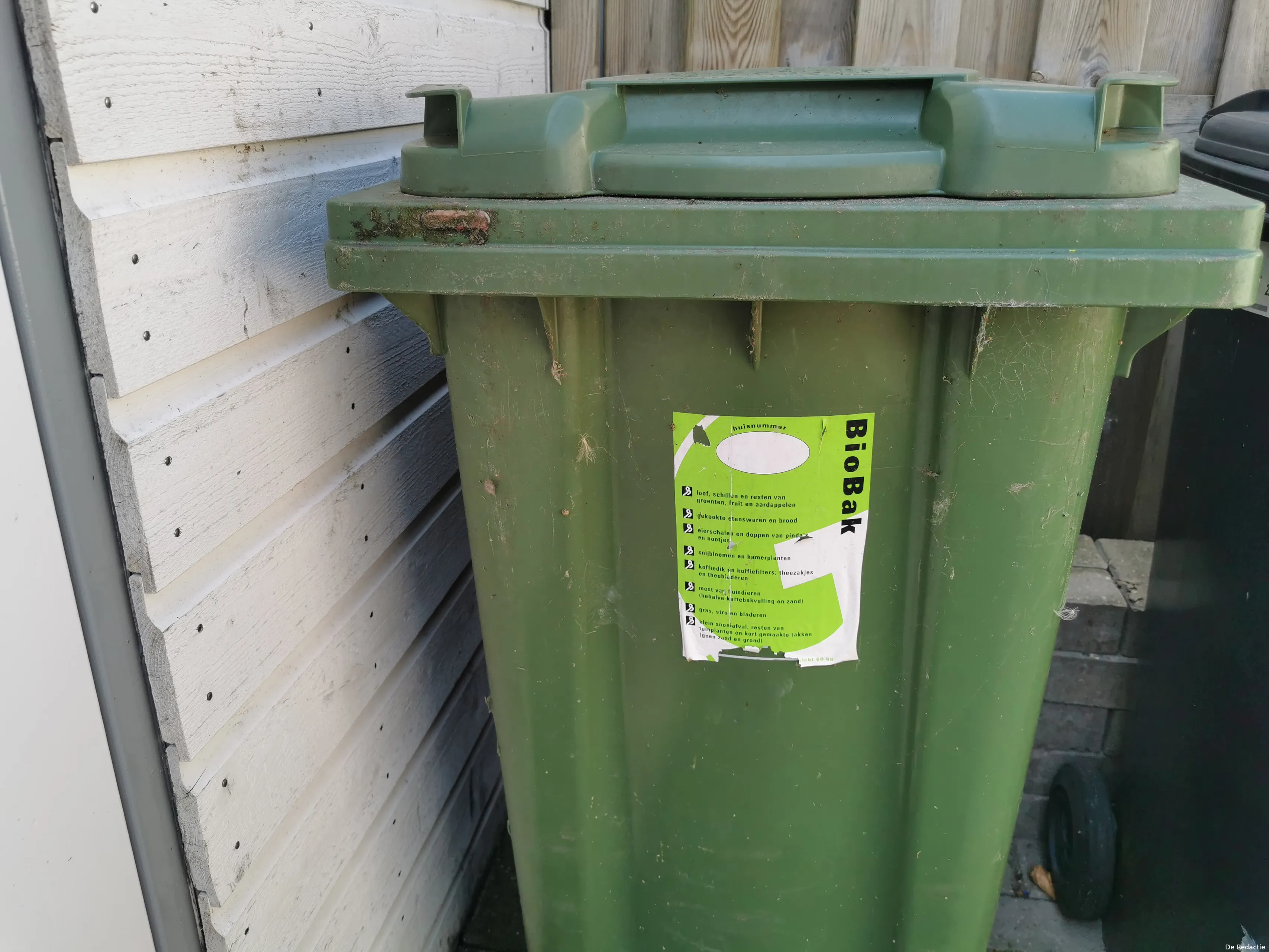 Hoe voorkom je maden in de groene GFT container?