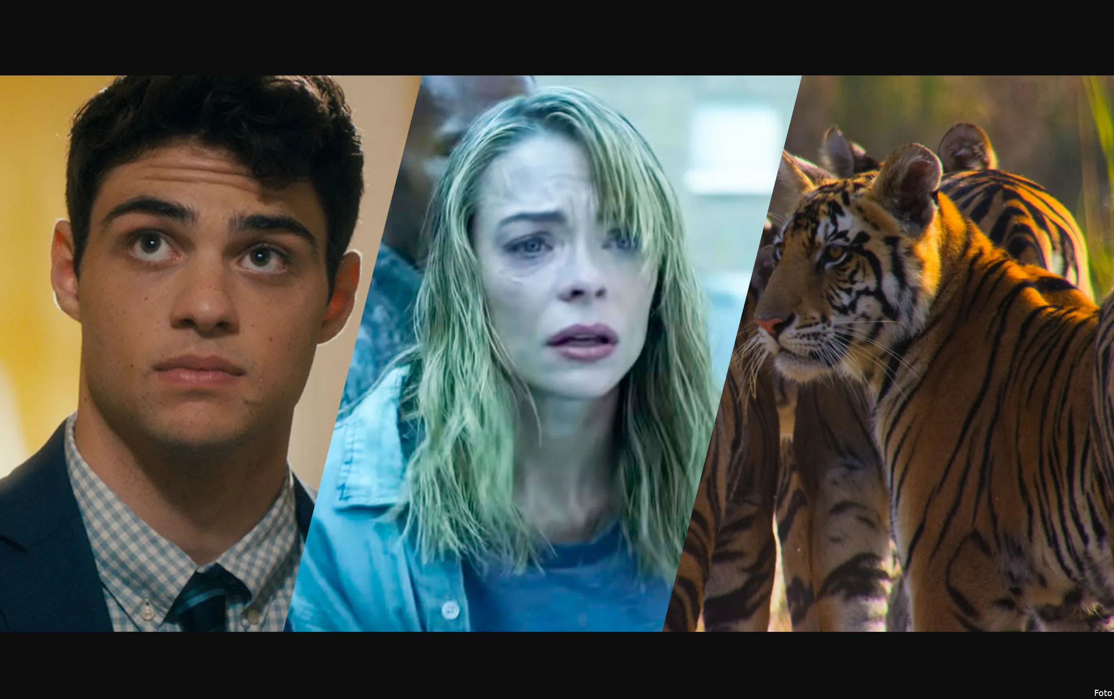 Netflix publiceert voor het eerst de top 10 best bekeken films en series