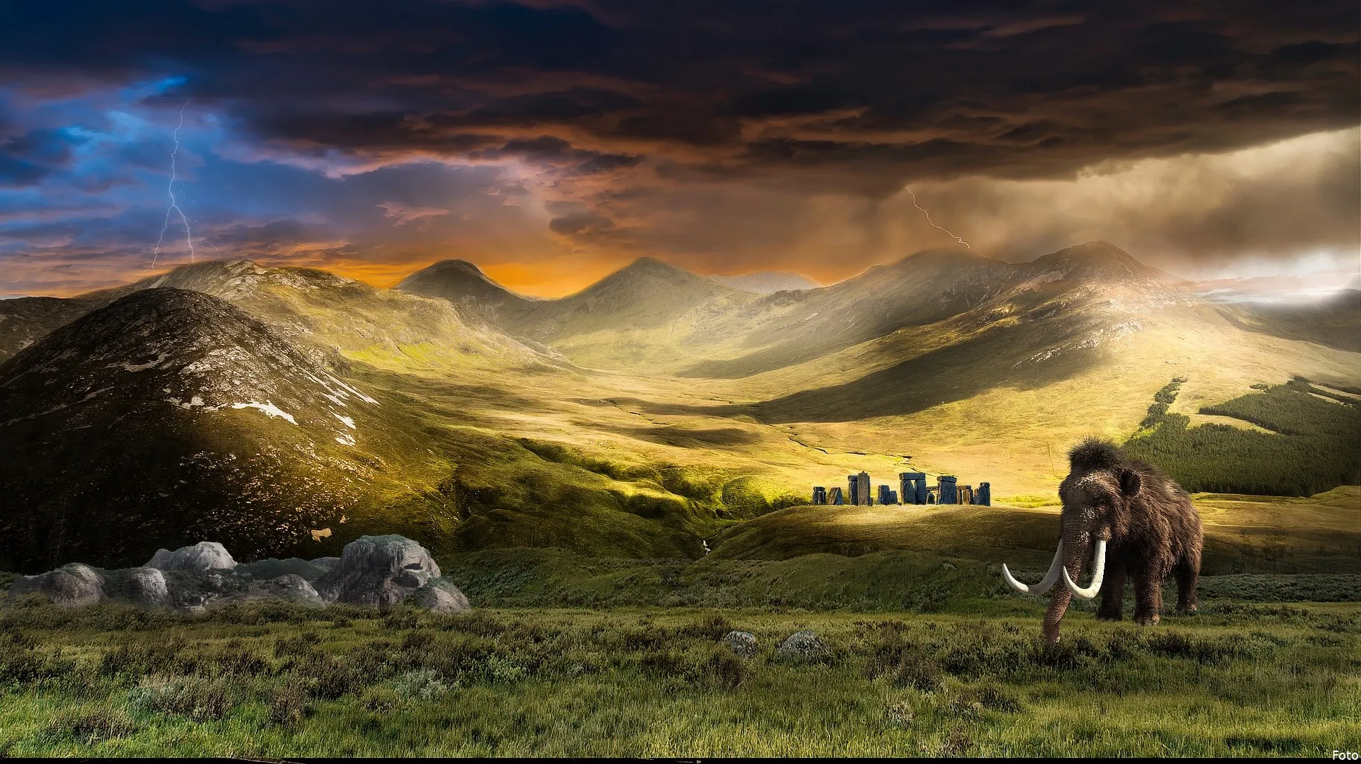 Amerikaanse labratten ontvangen 15 miljoen om mammoet terug te laten keren