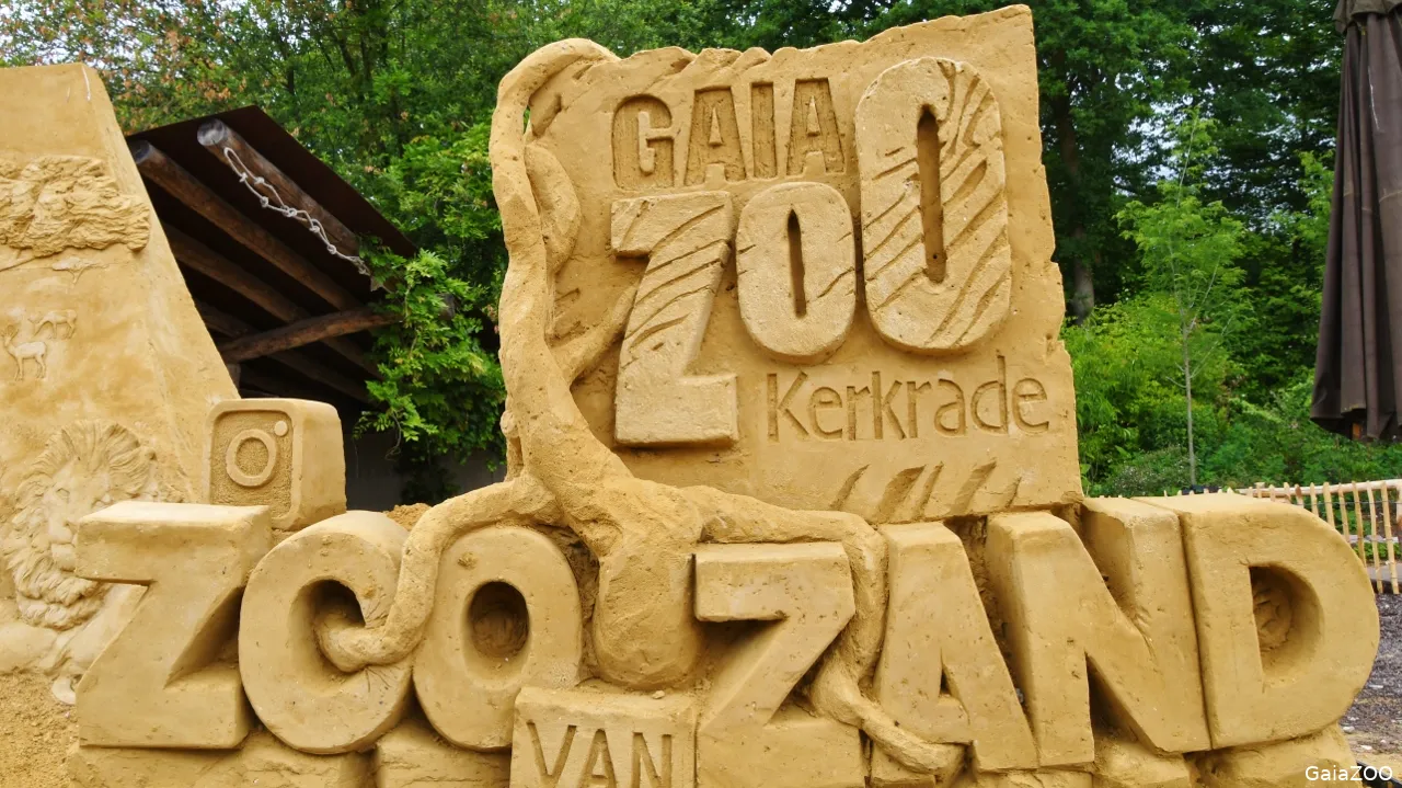 ‘ZOO van ZAND’ officieel geopend in Limburgse dierentuin GaiaZOO