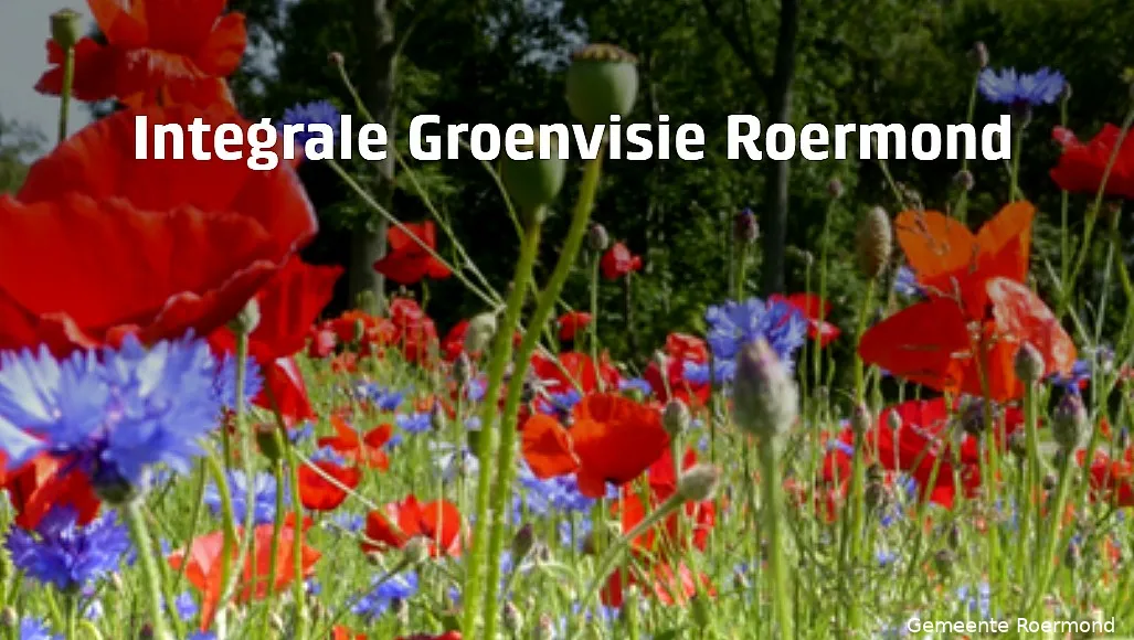 Roermond betrekt inwoners bij vergroening leefomgeving