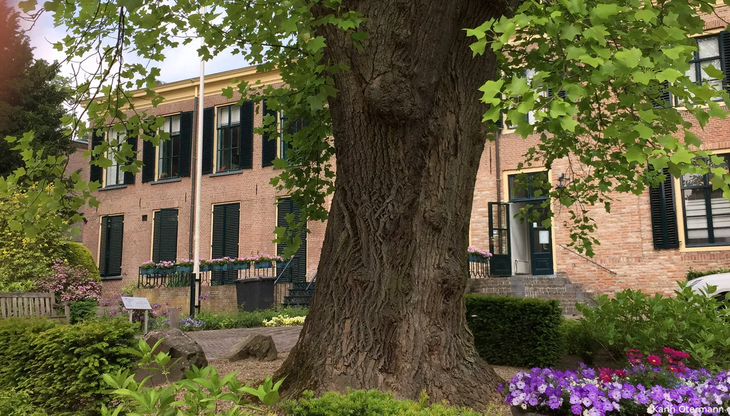 Excursie IVN Oost-Veluwezoom: Bomenwandeling in Rozendaal