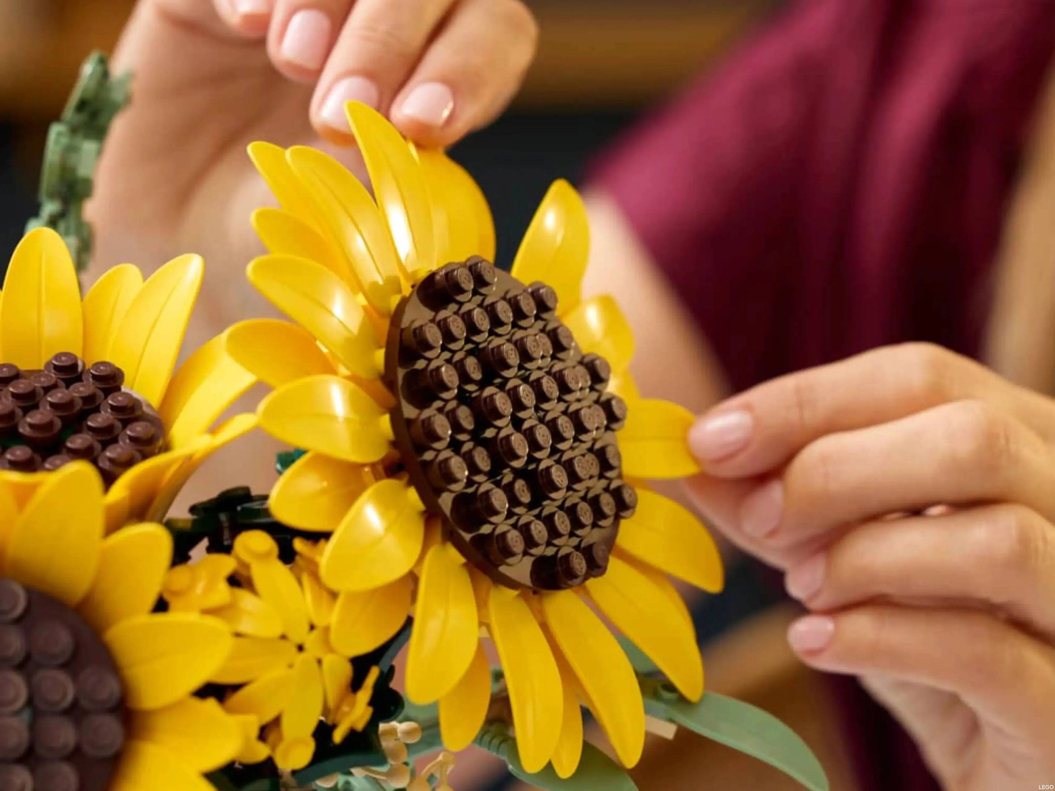 LEGO komt in maart met 2 opvallende Botanicals sets die perfect zijn ...