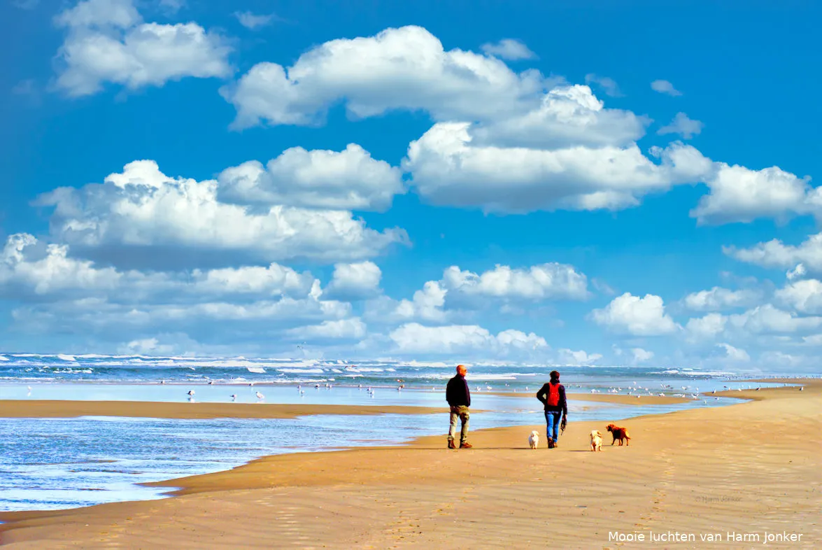 “Kop in de Wolken” nieuwe expositie in Kop van WaZ