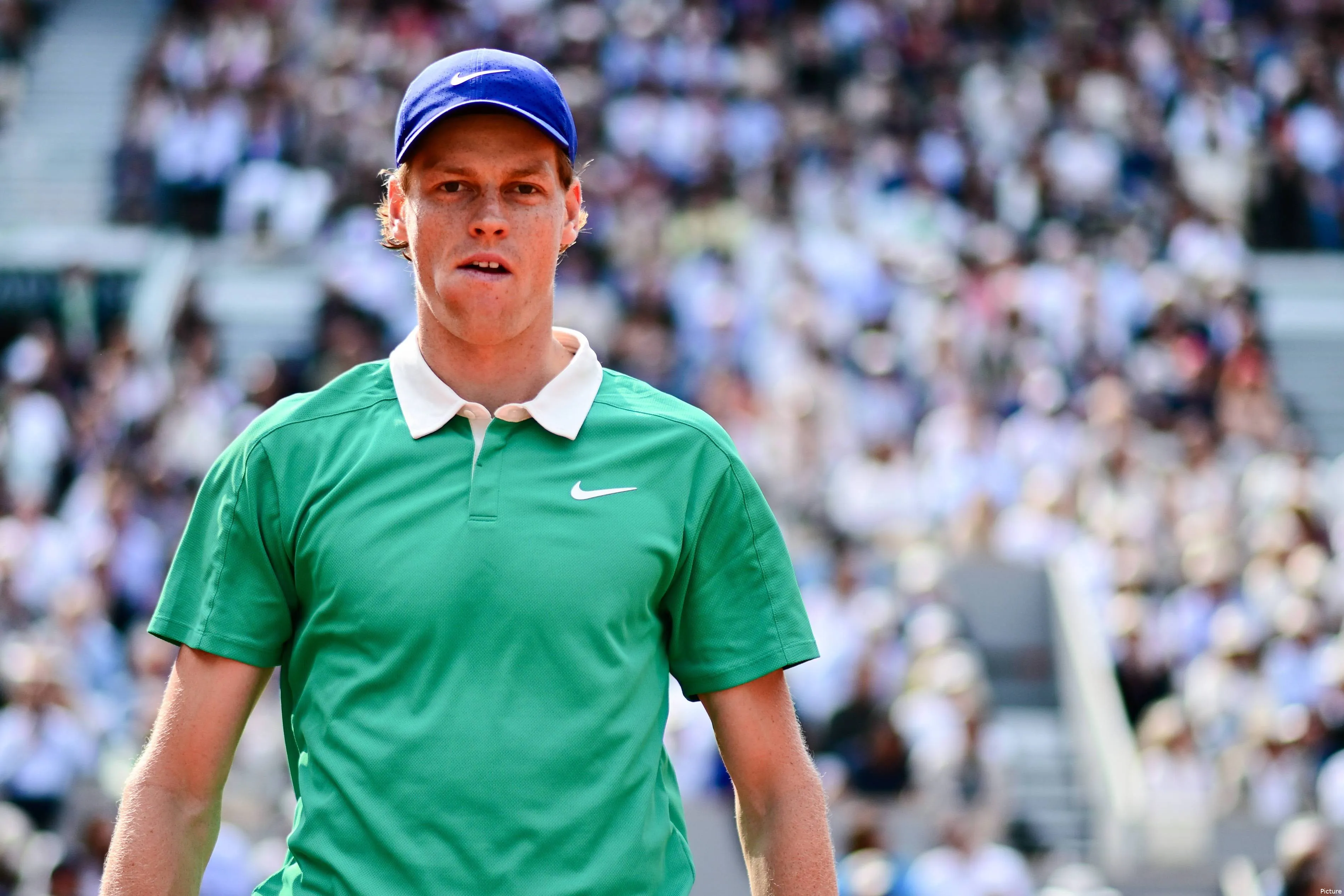 Draw ATP Halle Open 2025: Jannik Sinner and Alexander Zverev lead path ...
