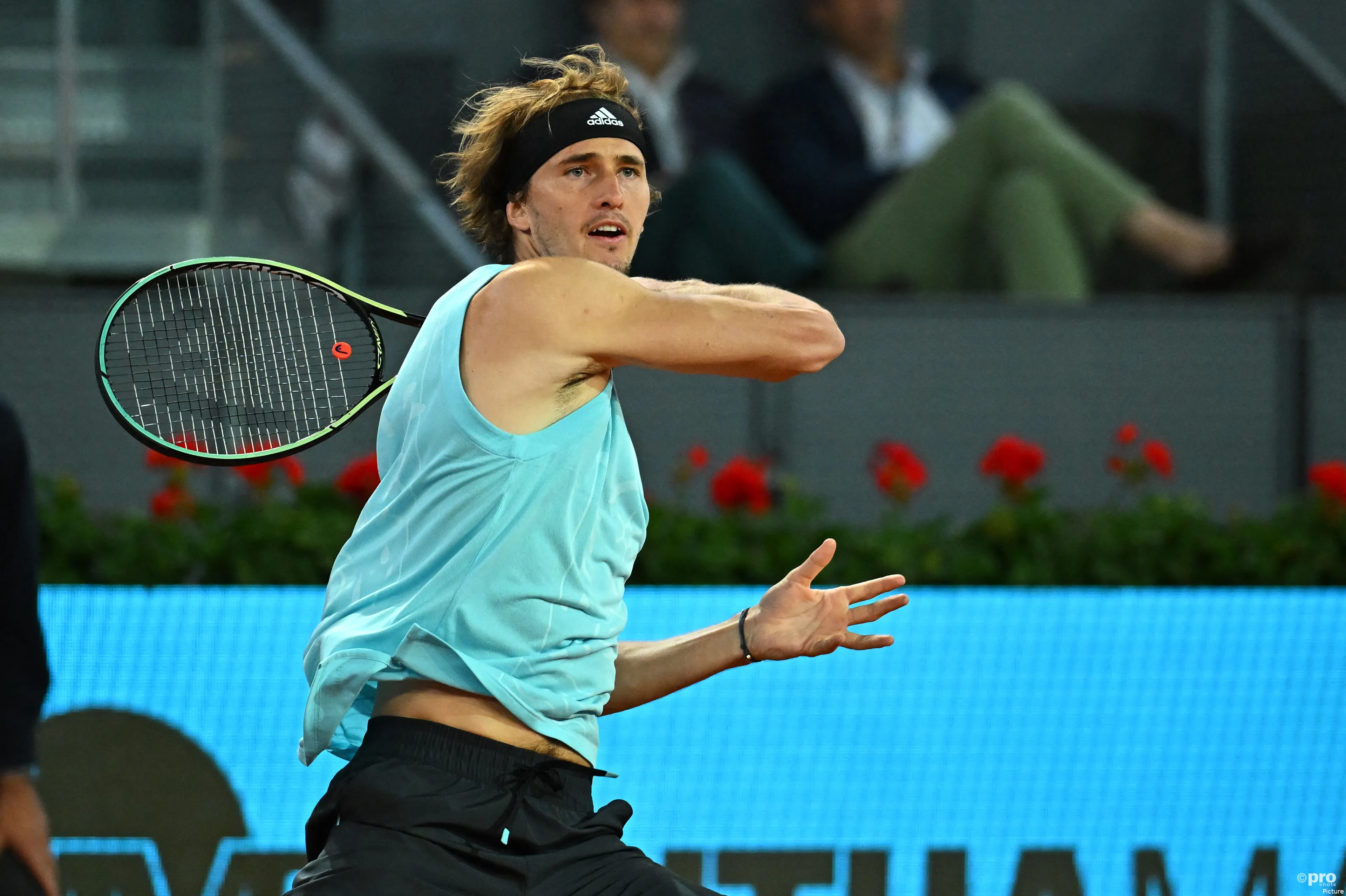 "Multitalented physio, panda mom and dog sitter": Alexander Zverev ...