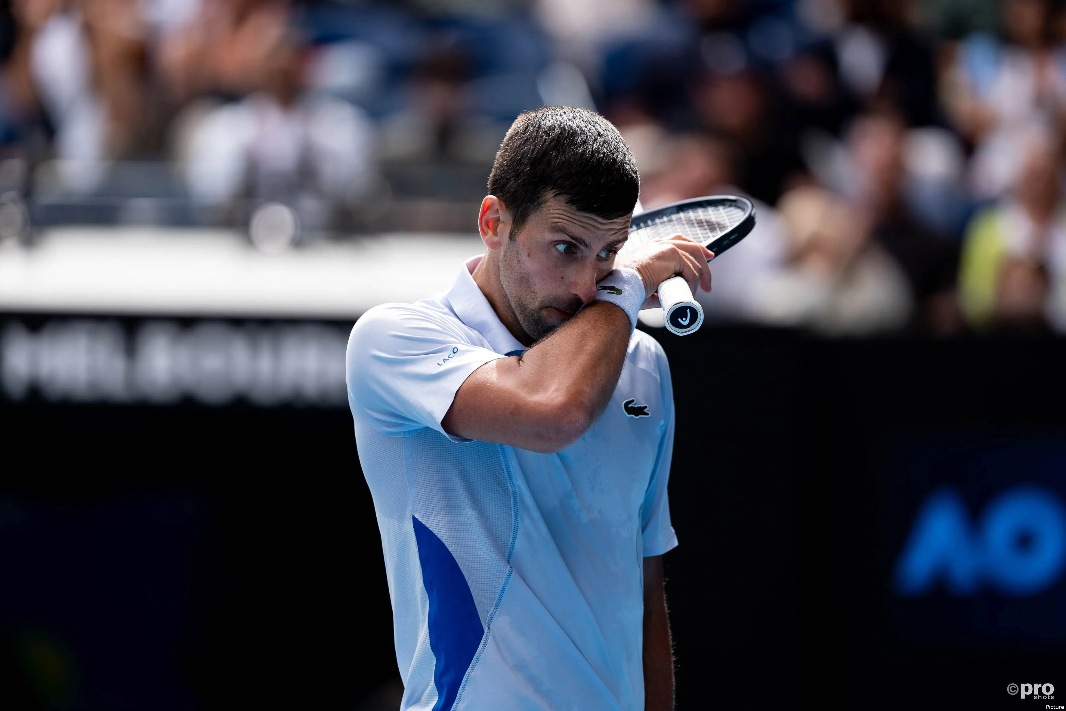 Shockwave in Indian Wells as Luca NARDI knocks out Novak DJOKOVIC in ...
