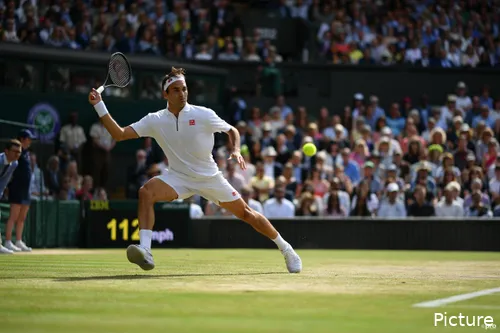 Everything about Roger Federer