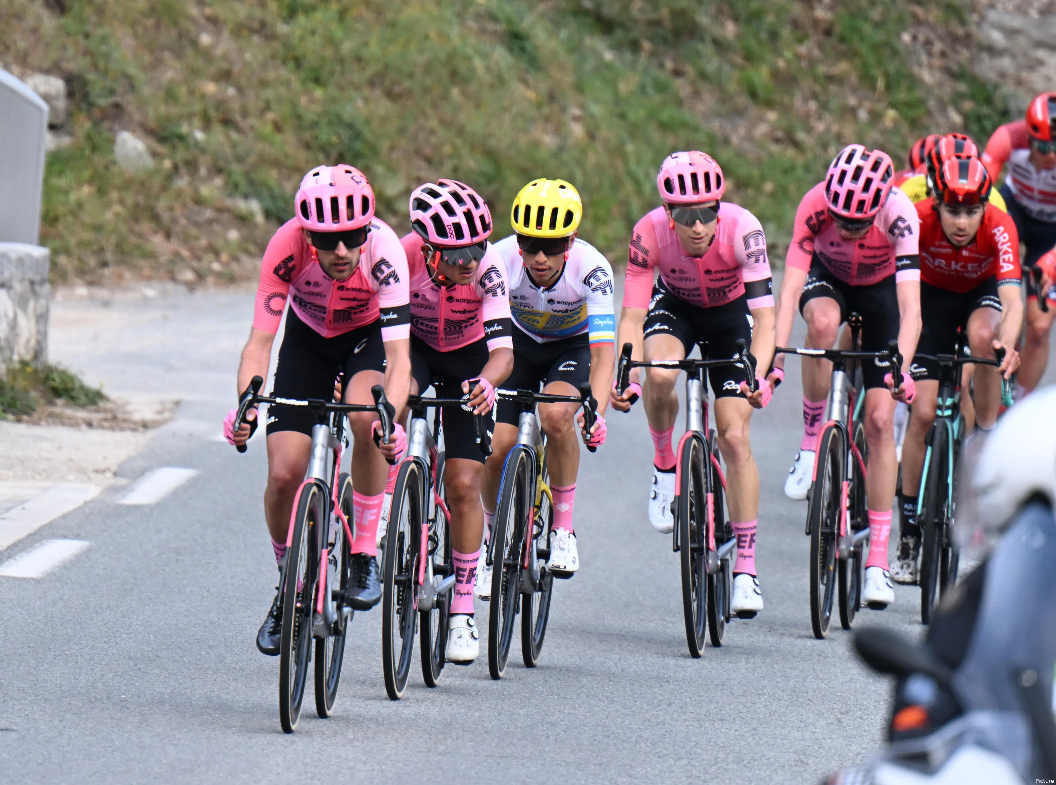 Archie Ryan ahead of his World Tour debut at Tour Down Under: "I am ...