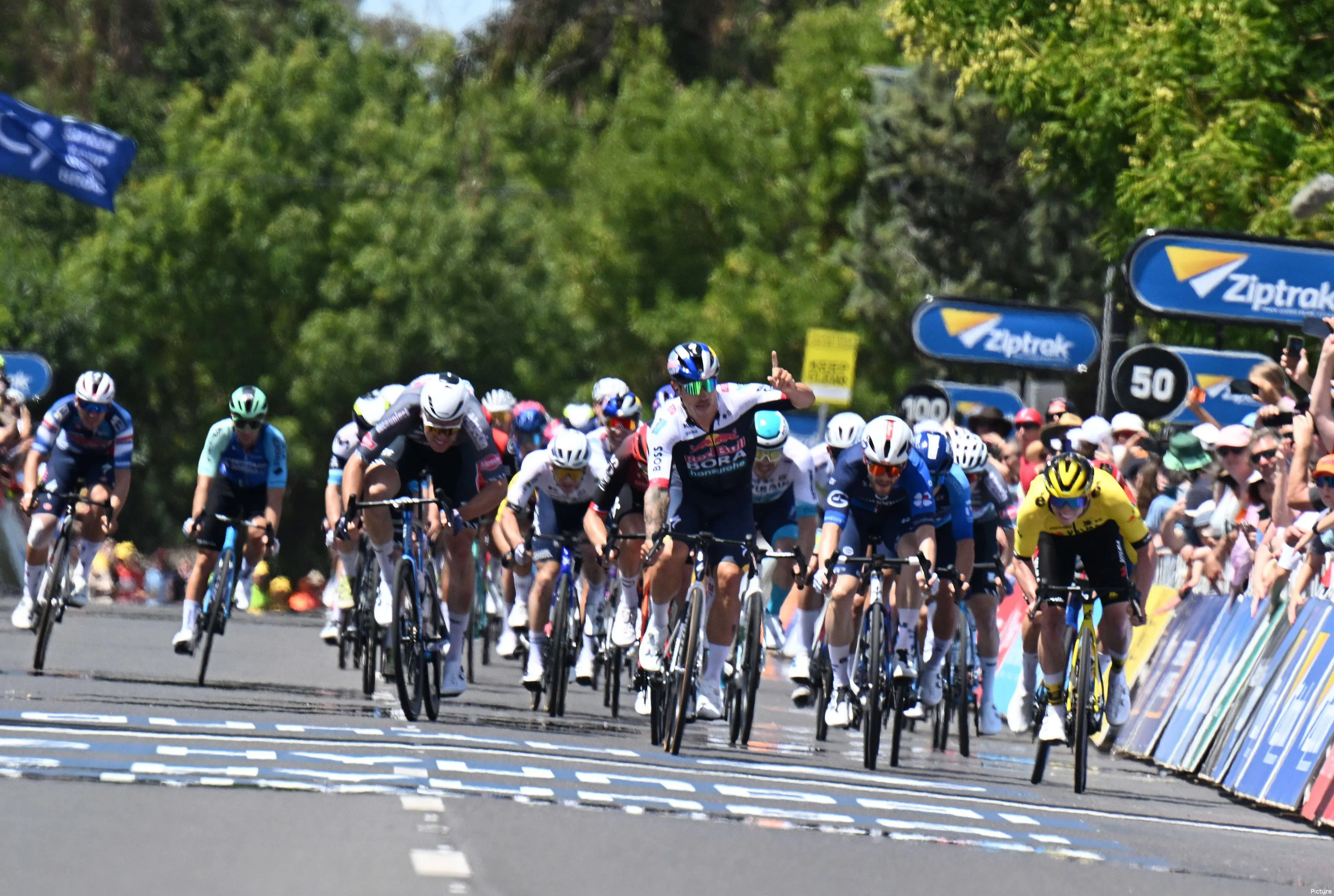 PREVIEW | Cadel Evans Great Ocean Road Race 2025 - Sprinters and ...