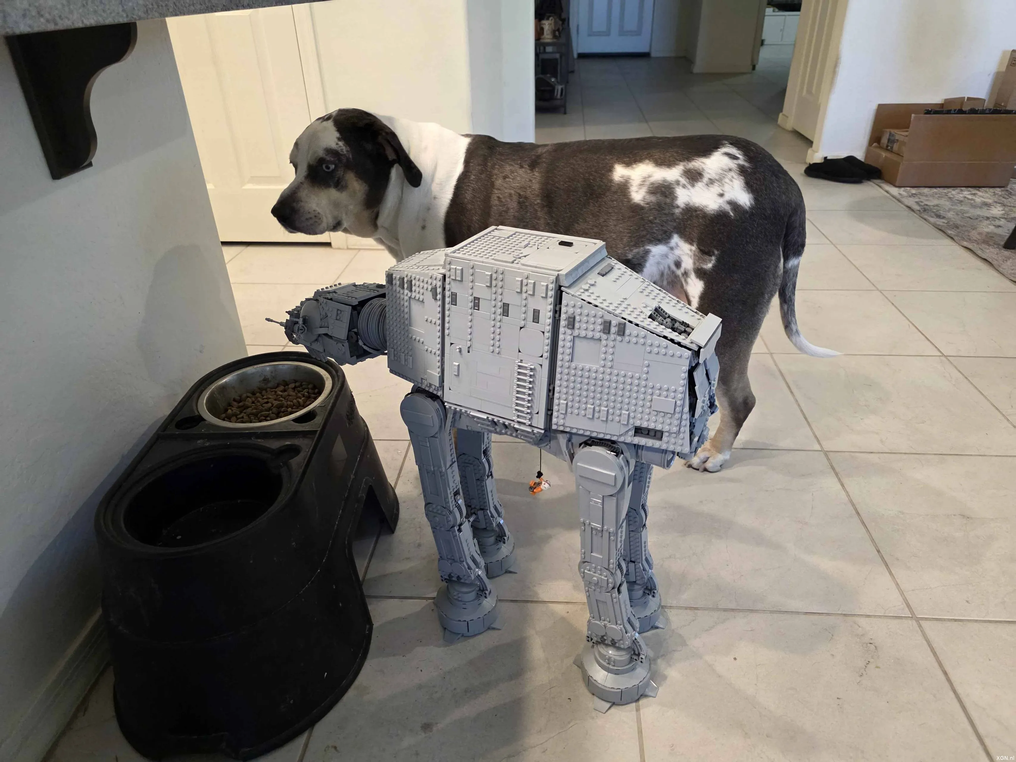 Deze LEGO-set is bijna even groot als een hond