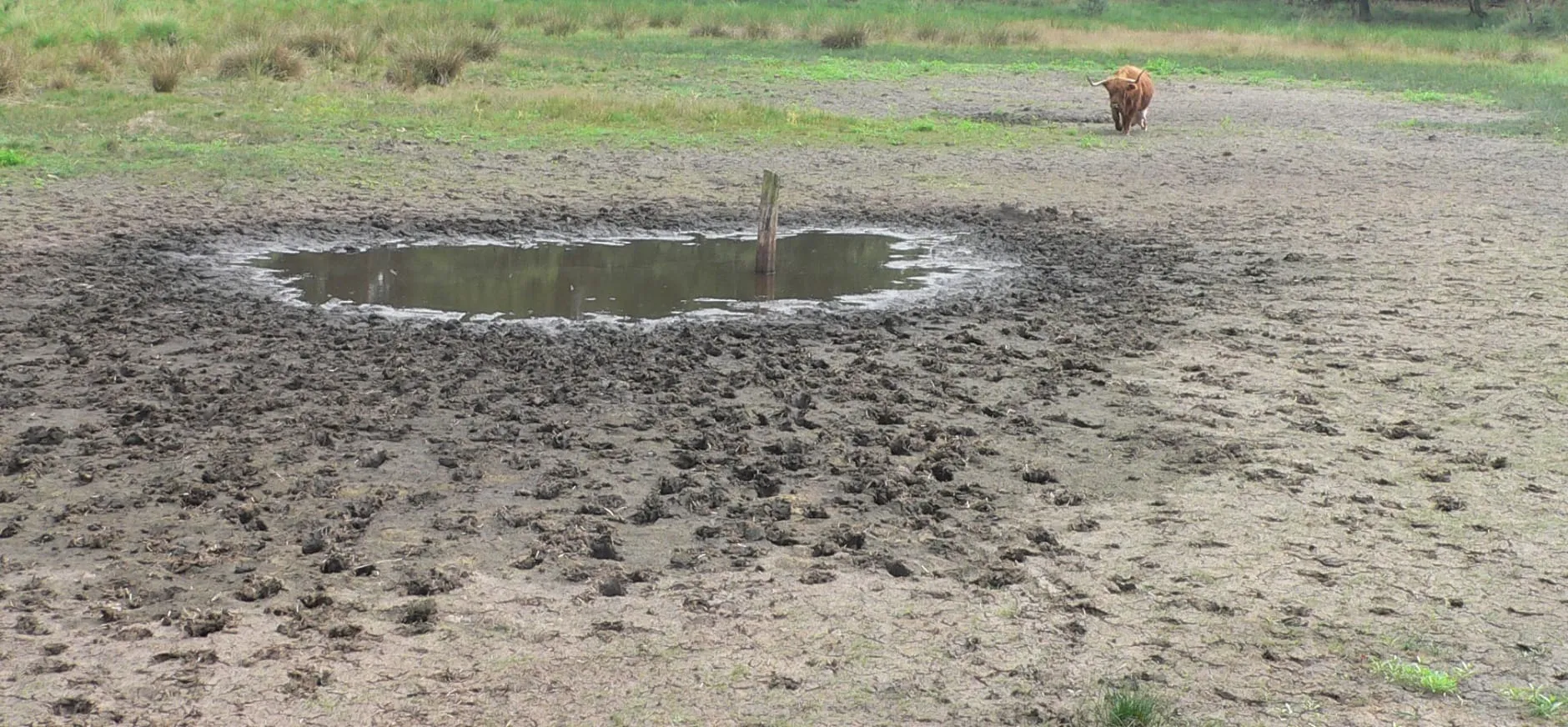 Waterschap neemt verregaande maatregelen tegen droogte