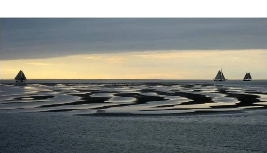 Foto van de week (foto van Cor Bels)