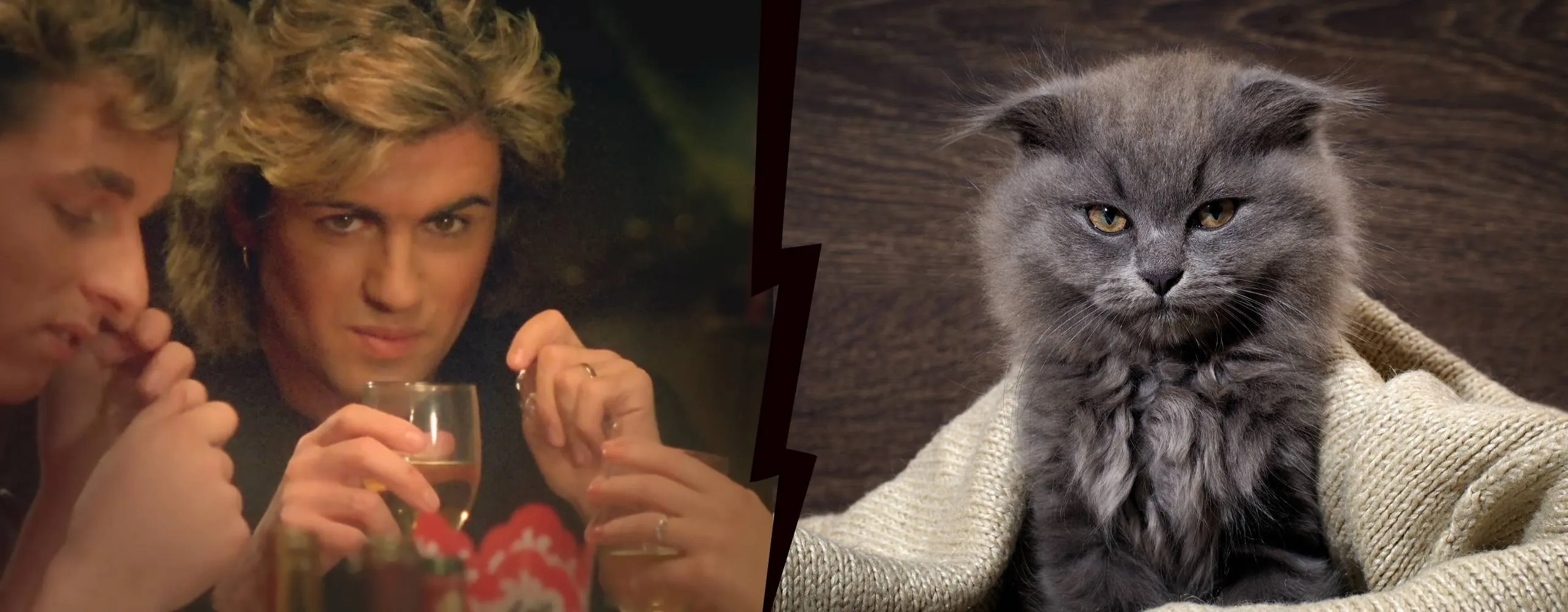 Je kat wil Last Christmas van Wham! niet horen: dit is waarom