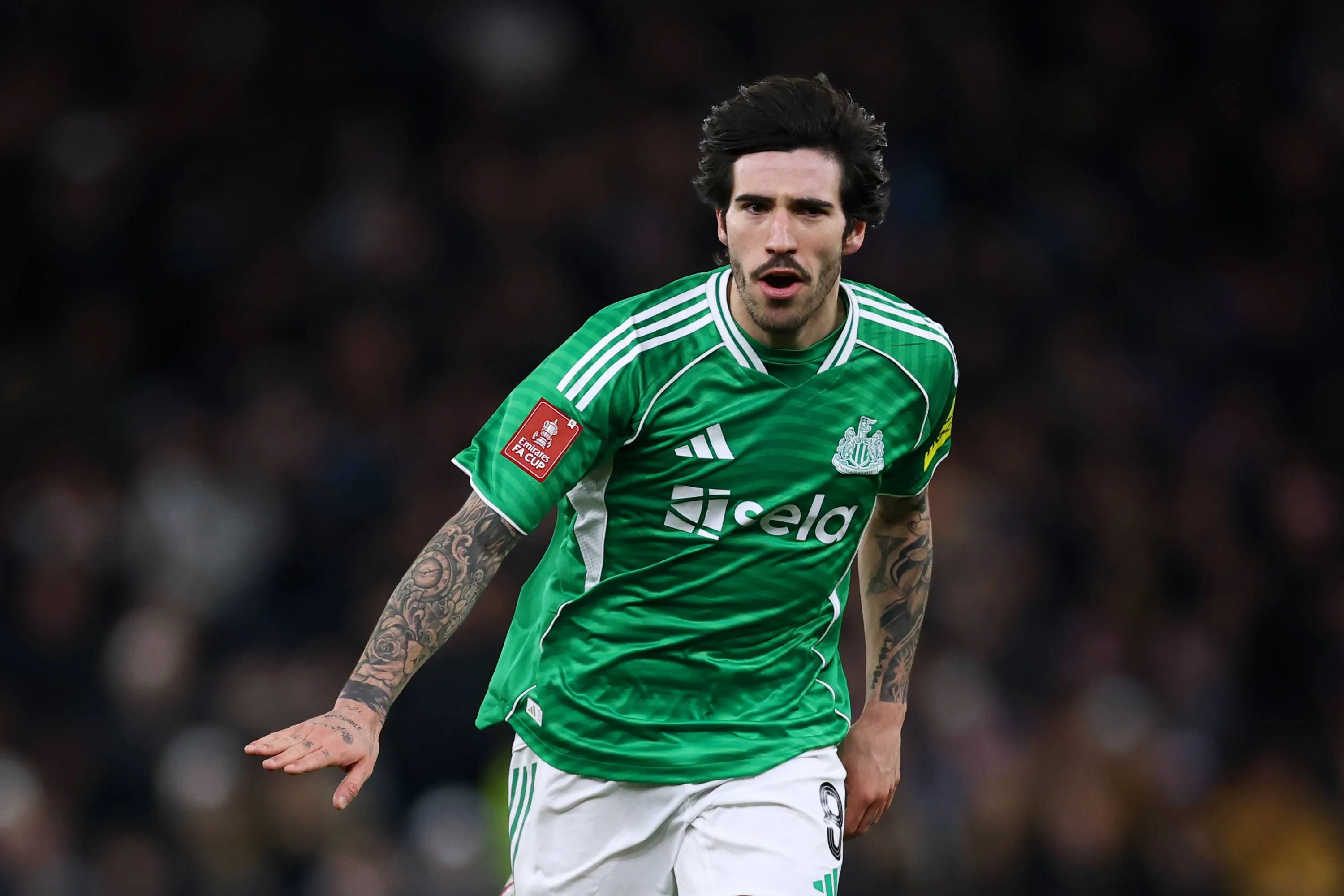 Tottenham plot Sandro Tonali swoop as De Zerbi eyes statement midfield ...