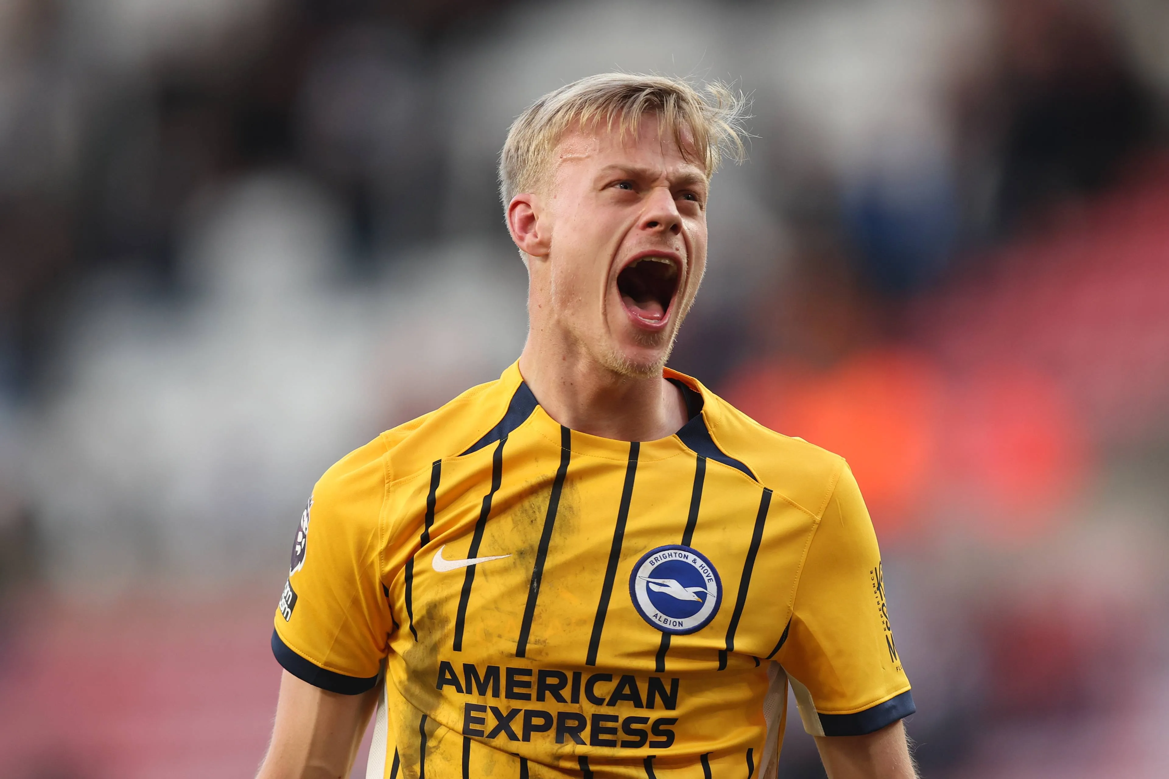 Spurs’ opening bid for Jan Paul van Hecke rejected by Brighton as De ...