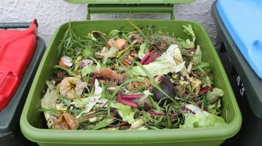 Tips om maden te voorkomen in de GFT container