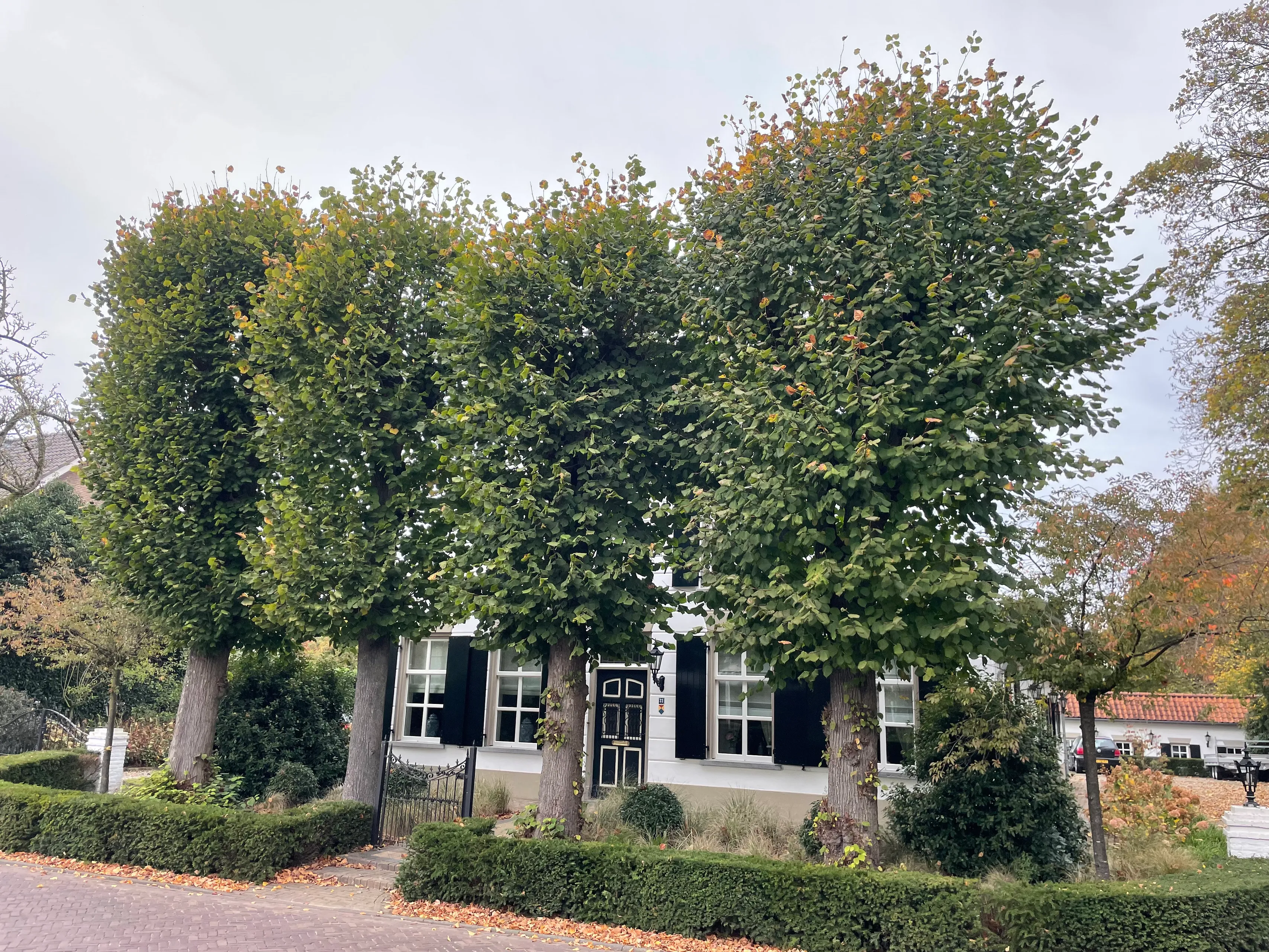 Het Vlijmens Lint organiseert informatiebijeenkomst over het onderhoud ...