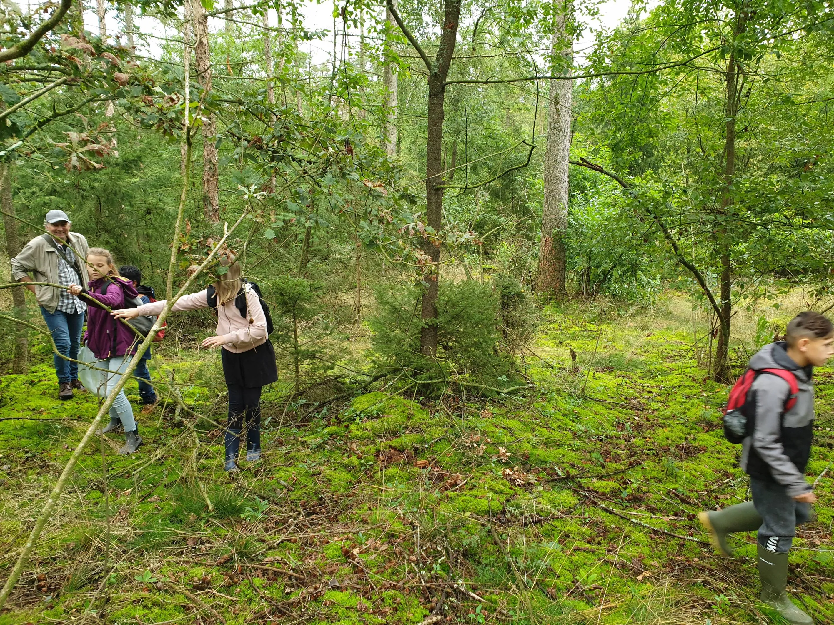 Project Bos Natuurlijk wordt nog een jaar uitgesteld