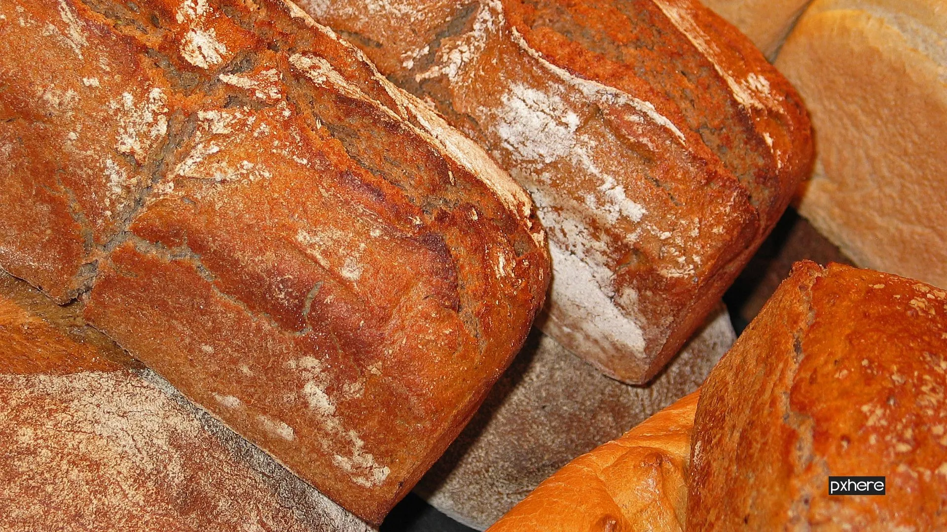 Nederlands graan voor Nederlands brood: het kan