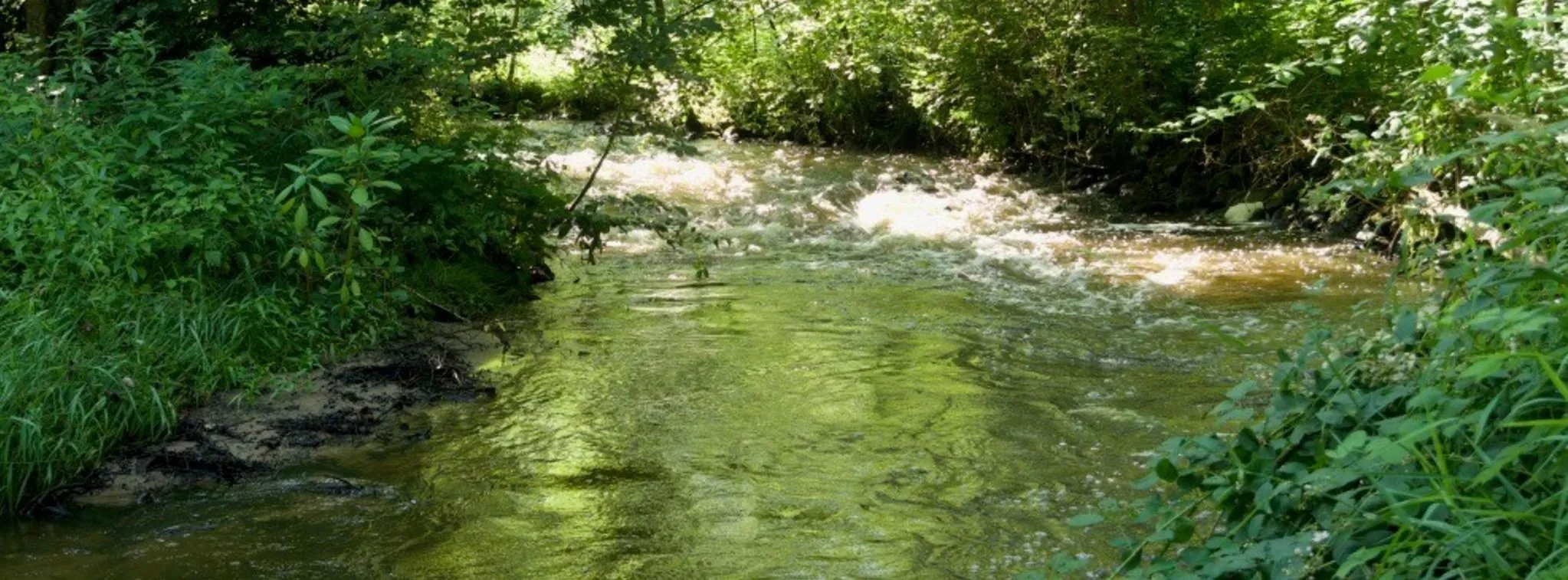 Jeugdtocht ‘Ontdek de Swalm’