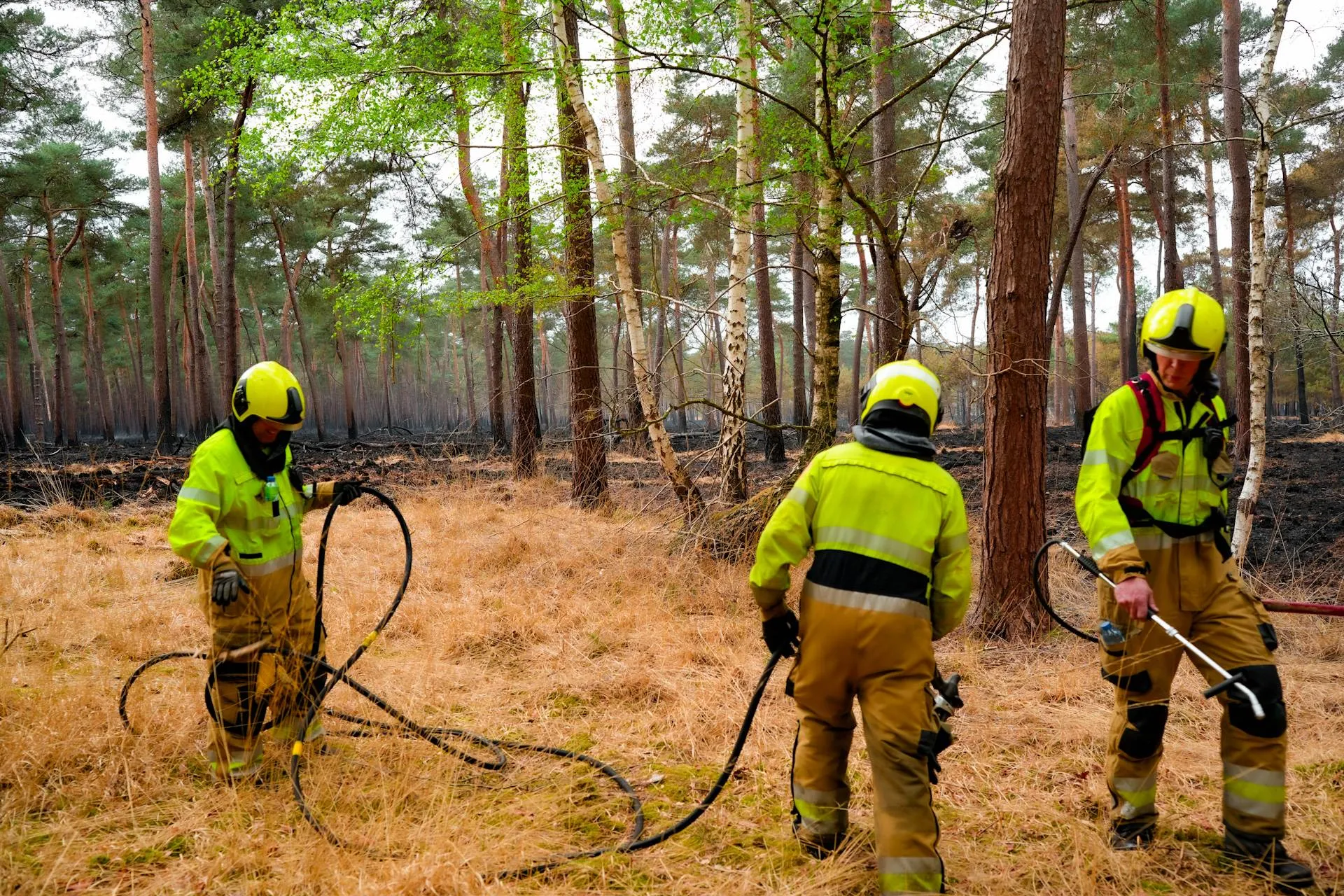 Brandweer Drunen opnieuw in actie voor bosbrand in Loonse en Drunense Duinen